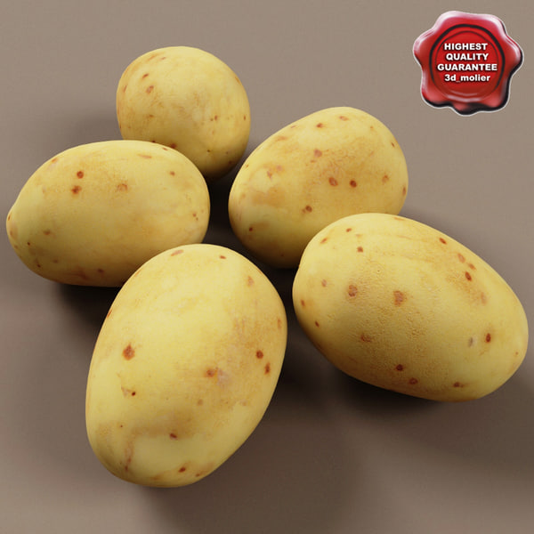 realistic potato real vegetables 3d max