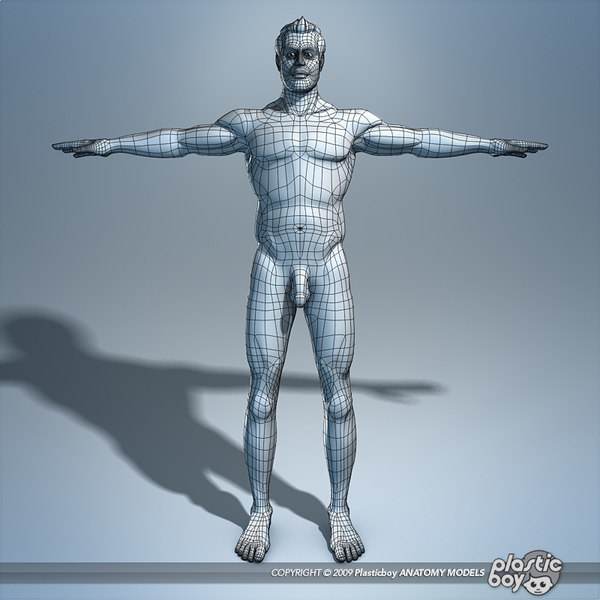 3d max medically human male body