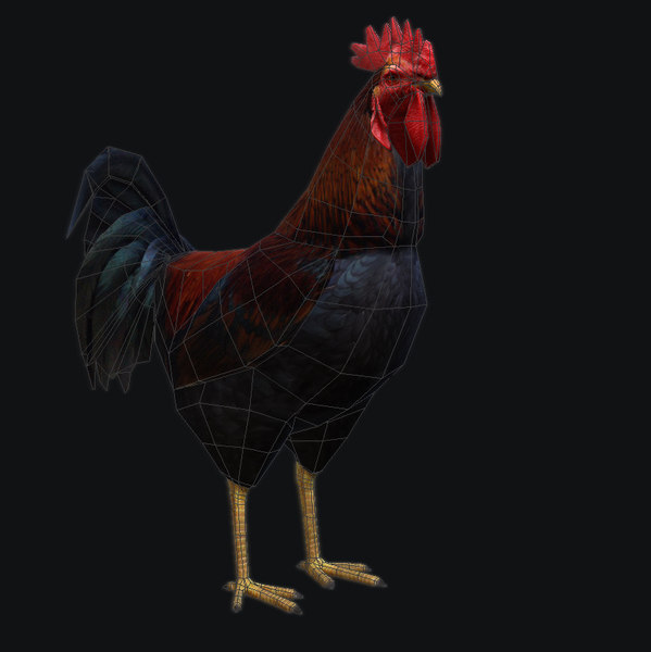 3d rooster