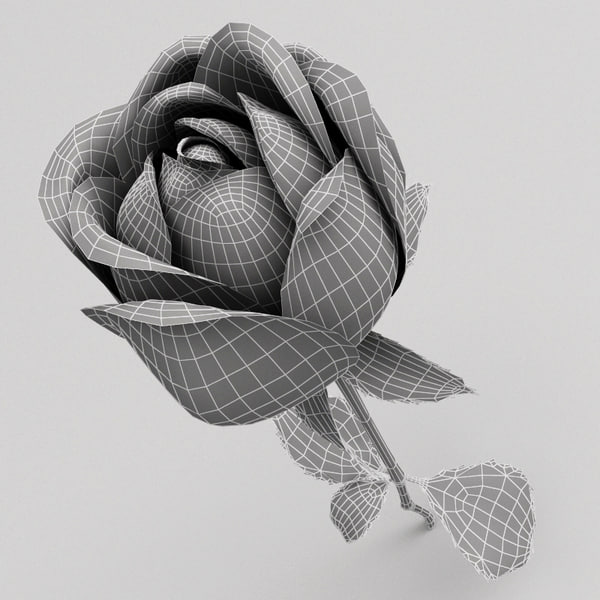 3d rose modelled model