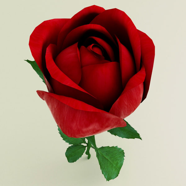 3d rose modelled model