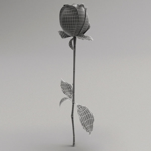 3d rose modelled model