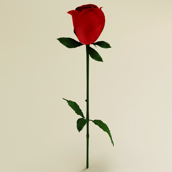 3d rose modelled model