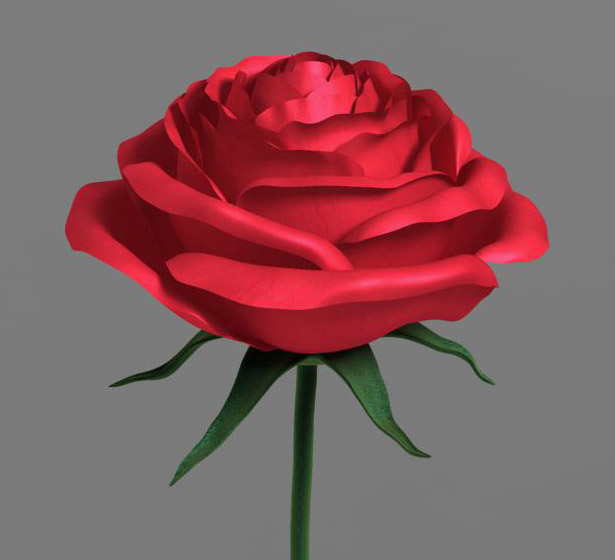 3d model red rose flower