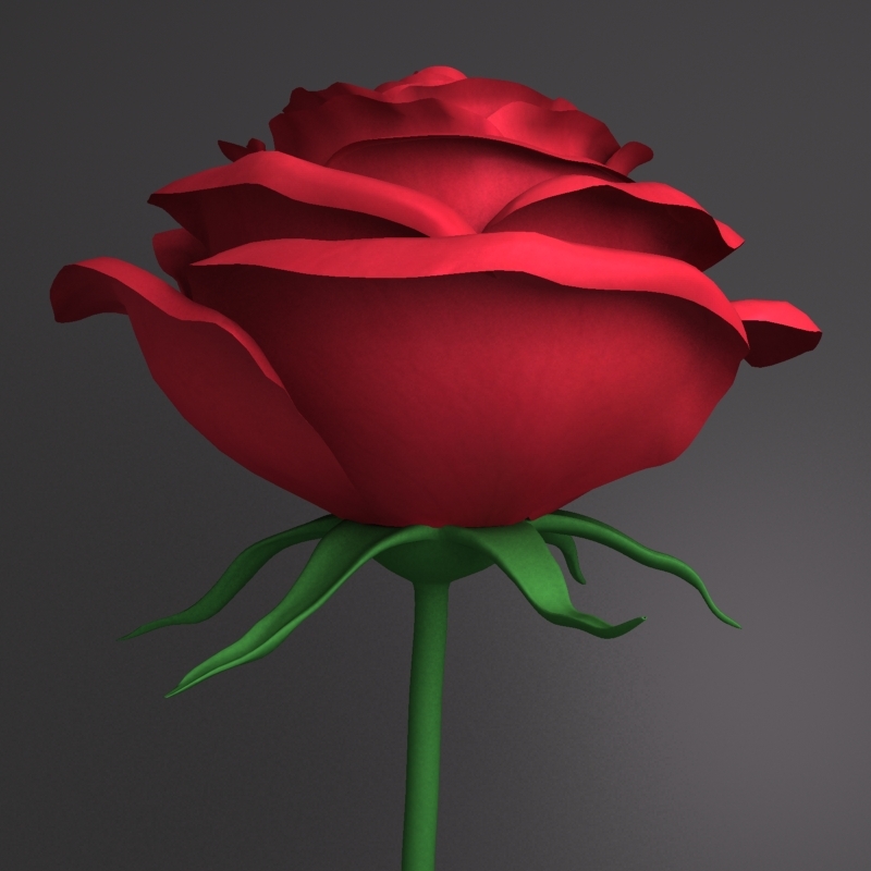 3d model red rose flower
