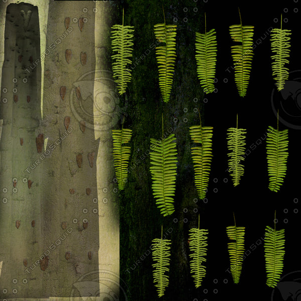 tower tree fern 3d 3ds