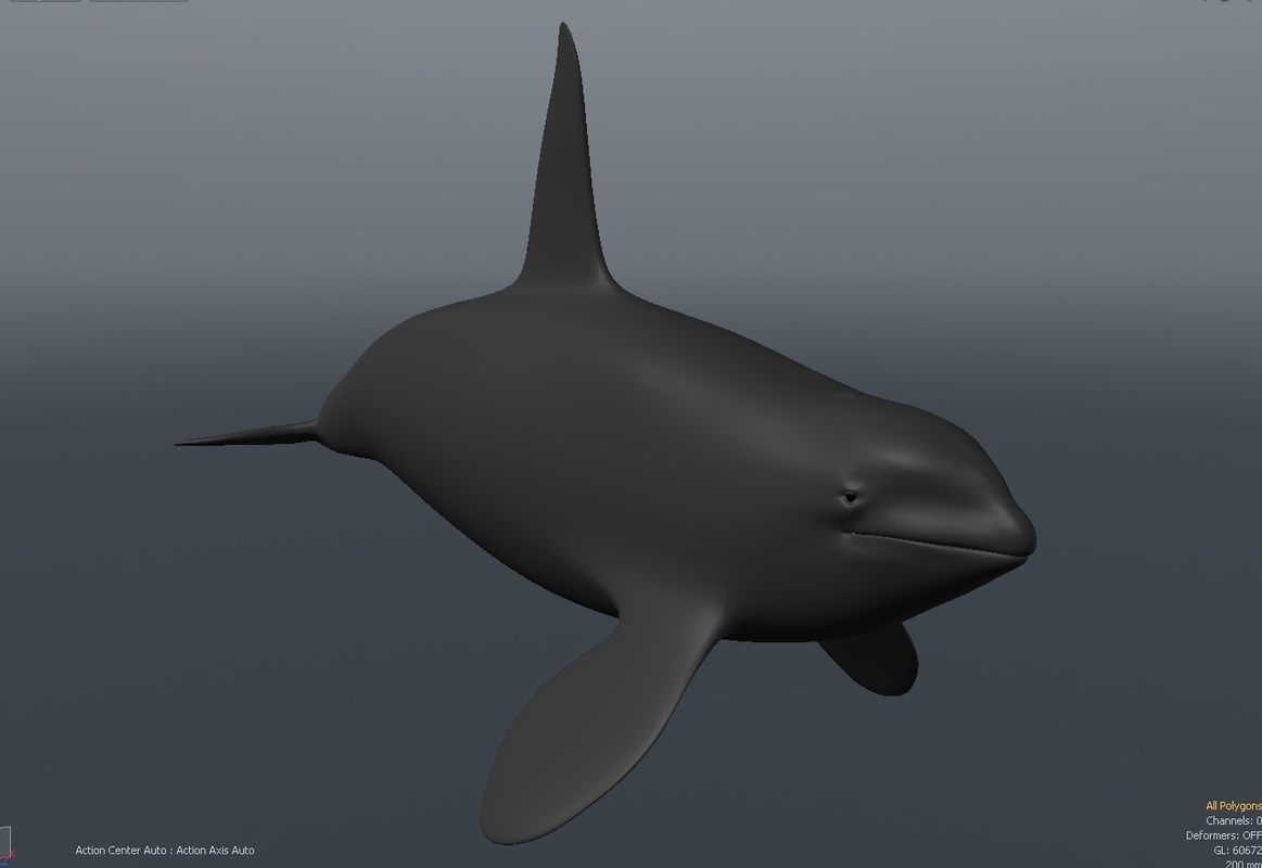 orca 3d model