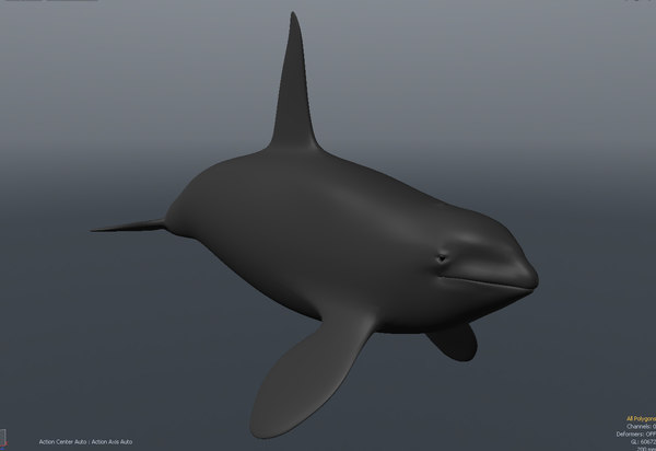 orca 3d model