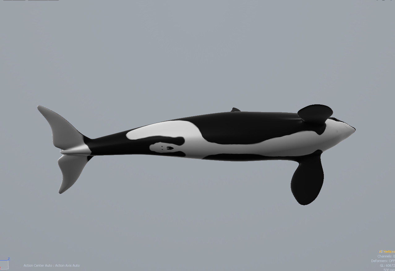 orca 3d model