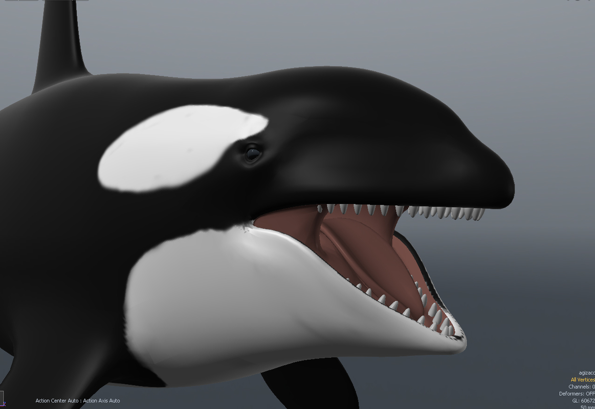 orca 3d model