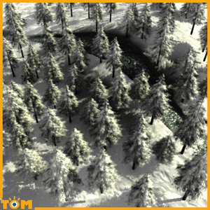 Free Blender Forest Models | TurboSquid