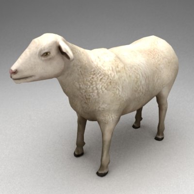 3dsmax rigged sheep