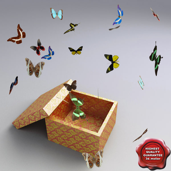 3d butterfly box