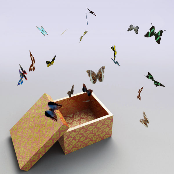 3d butterfly box