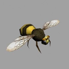 3d bee model