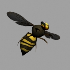 3d bee model