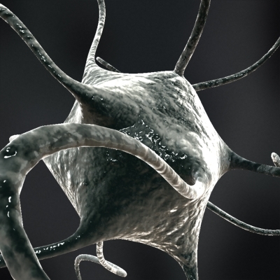 3d model neuron