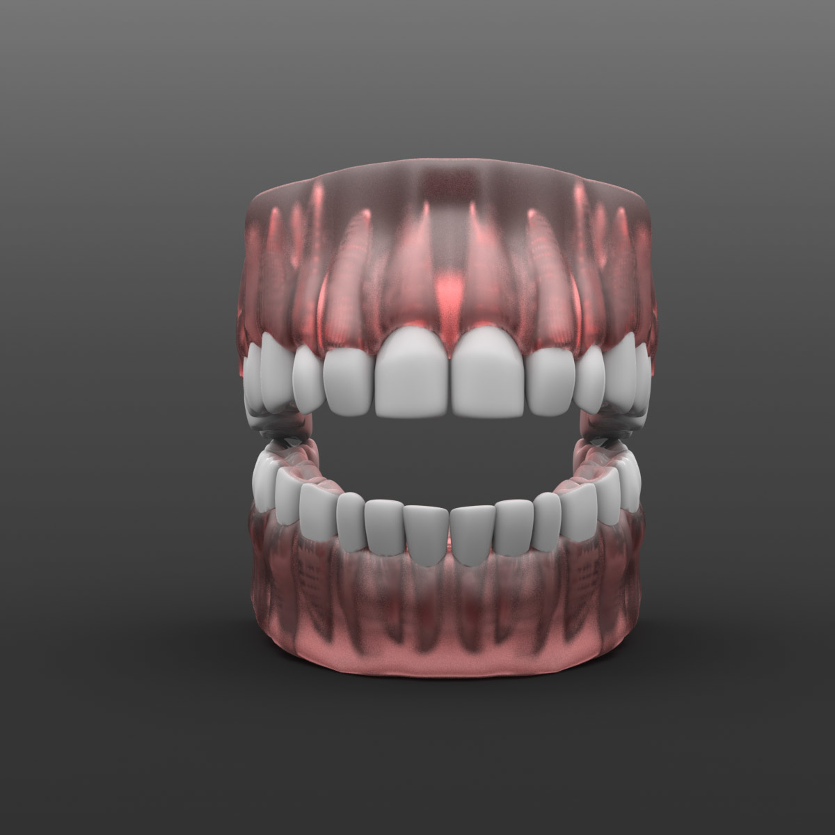gums tooth teeth 3d model