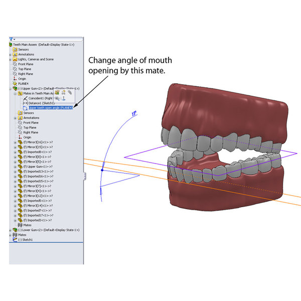 Solidworks Cad Teeth and Gums3Dモデル - TurboSquid 508129