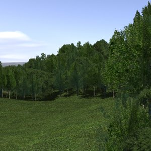 Free 3D Forest Models | TurboSquid