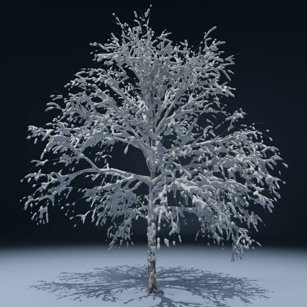 3d model winter tree v1