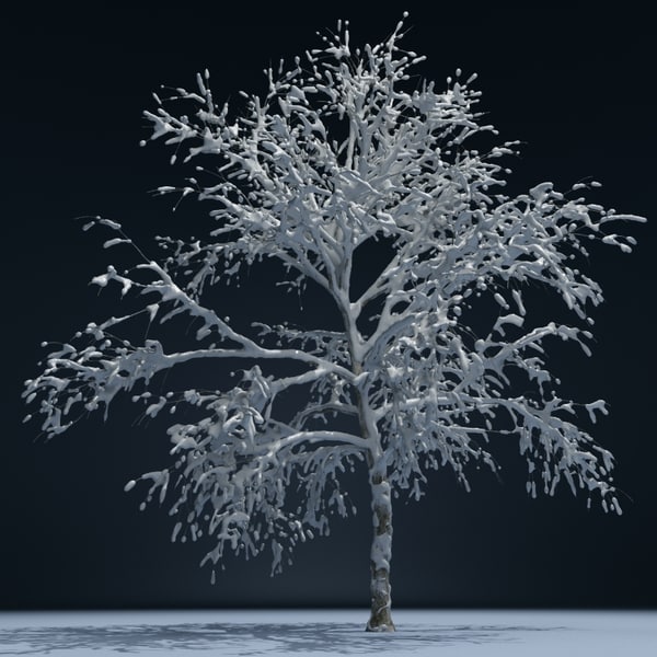 3d model winter tree v1