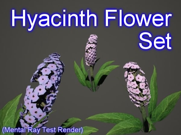 3d model set hyacinth flowers