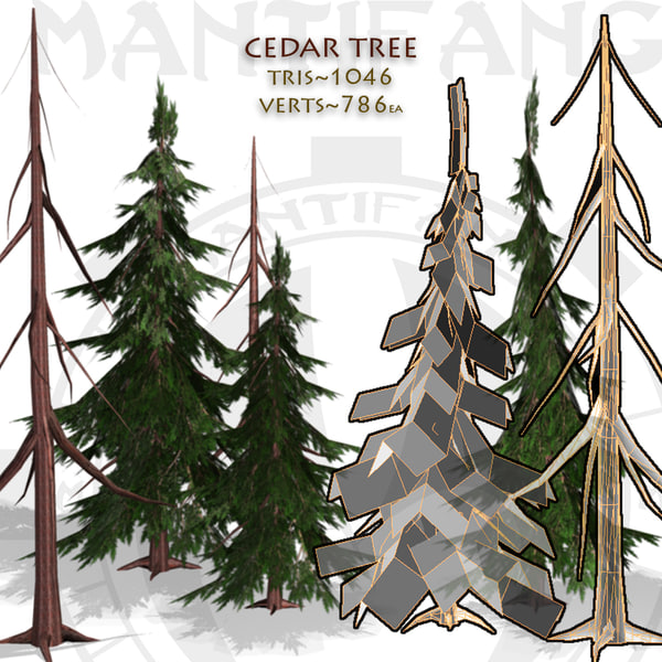Coleção de árvores de cedro Modelo 3D - TurboSquid 515387