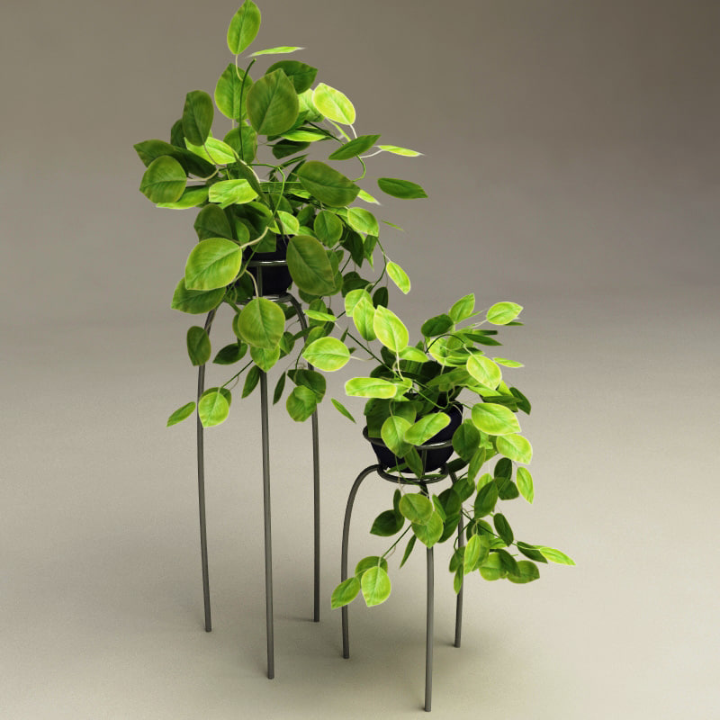 3d model home plant v2