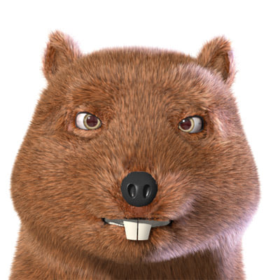 beaver 3d model