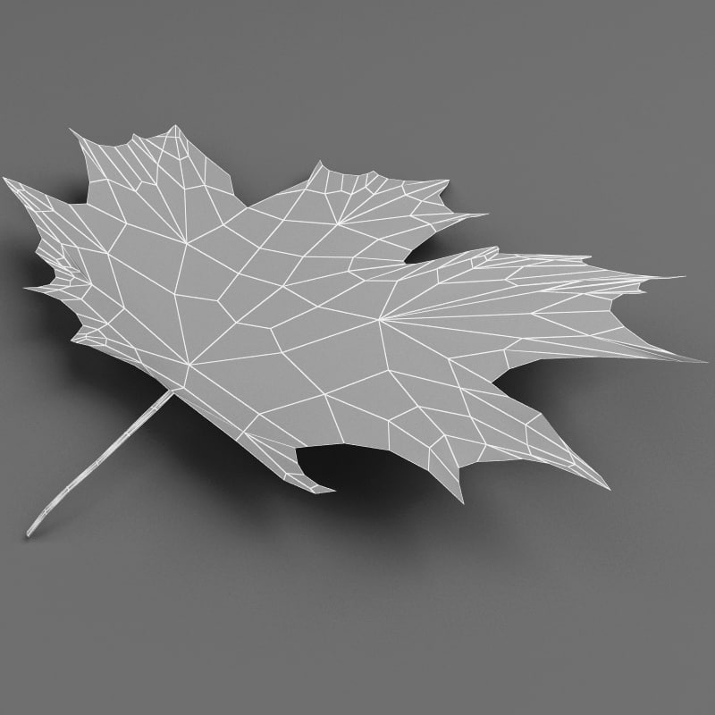 maple leaves summer 3d model