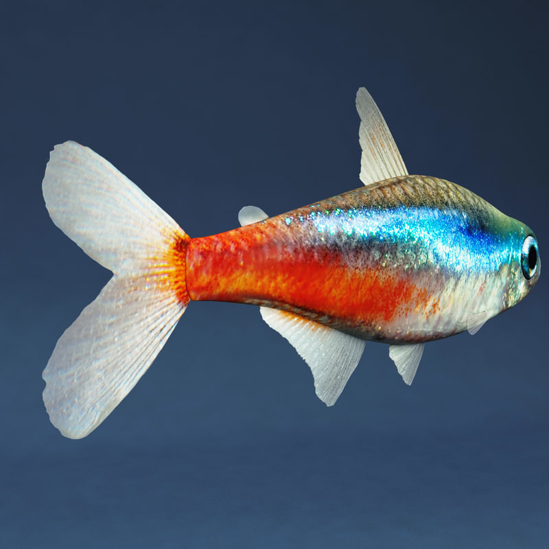 neon red fish 3d model