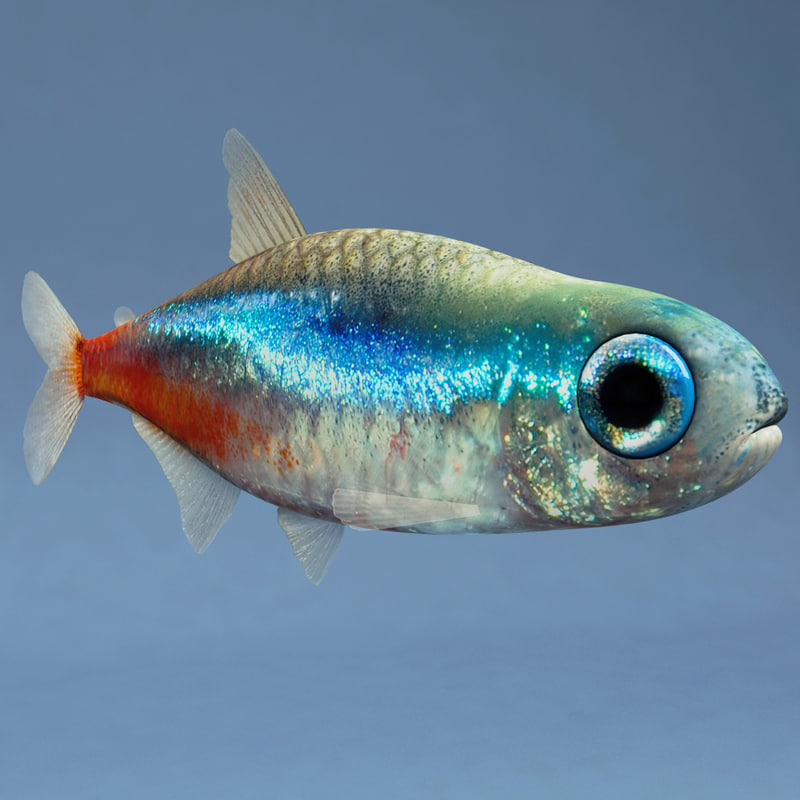 neon red fish 3d model
