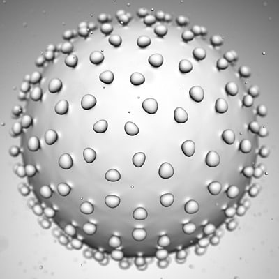 hepatitis b virus 3d model