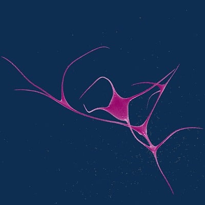 microscopic neural network 3d max