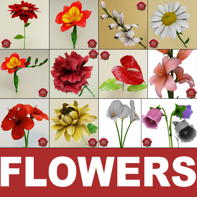 3ds max flowers v1