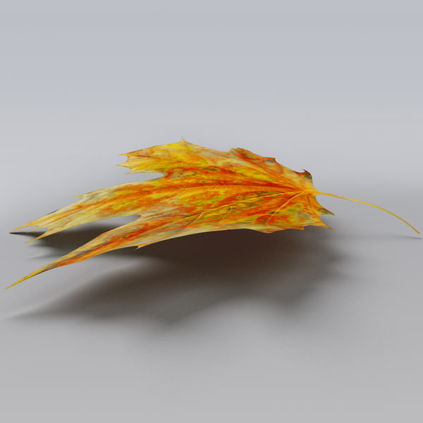 leaves set cherry 3d model