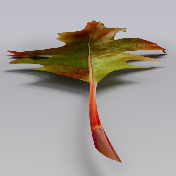 leaves set cherry 3d model