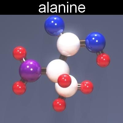 alanine 3d max