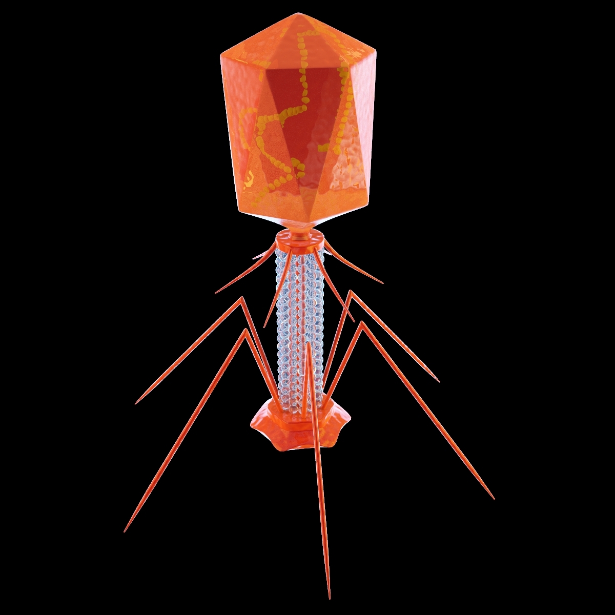 microscopic 3d model