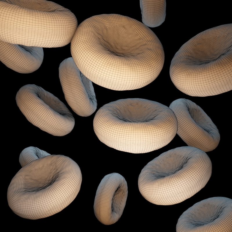 microscopic 3d model