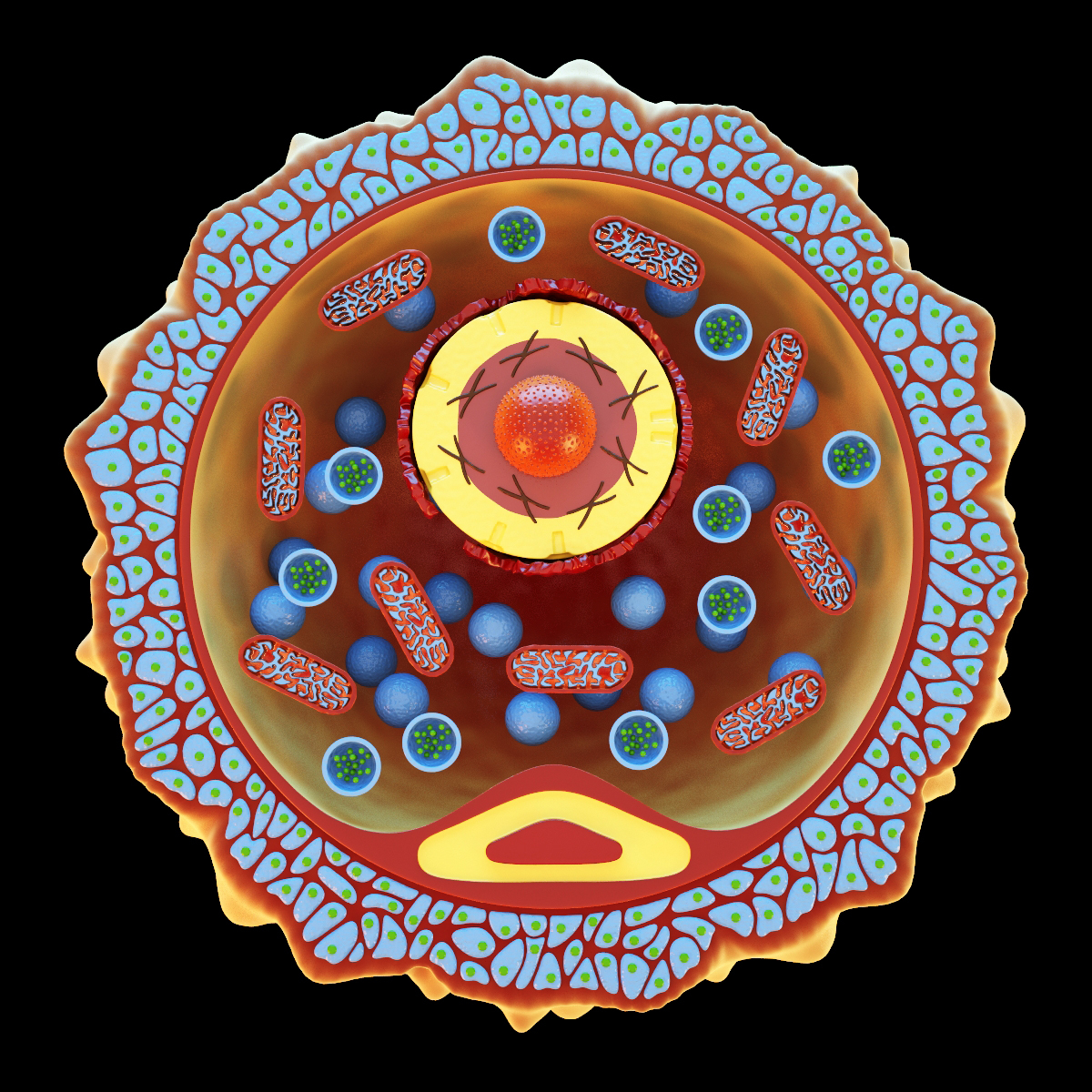 microscopic 3d model