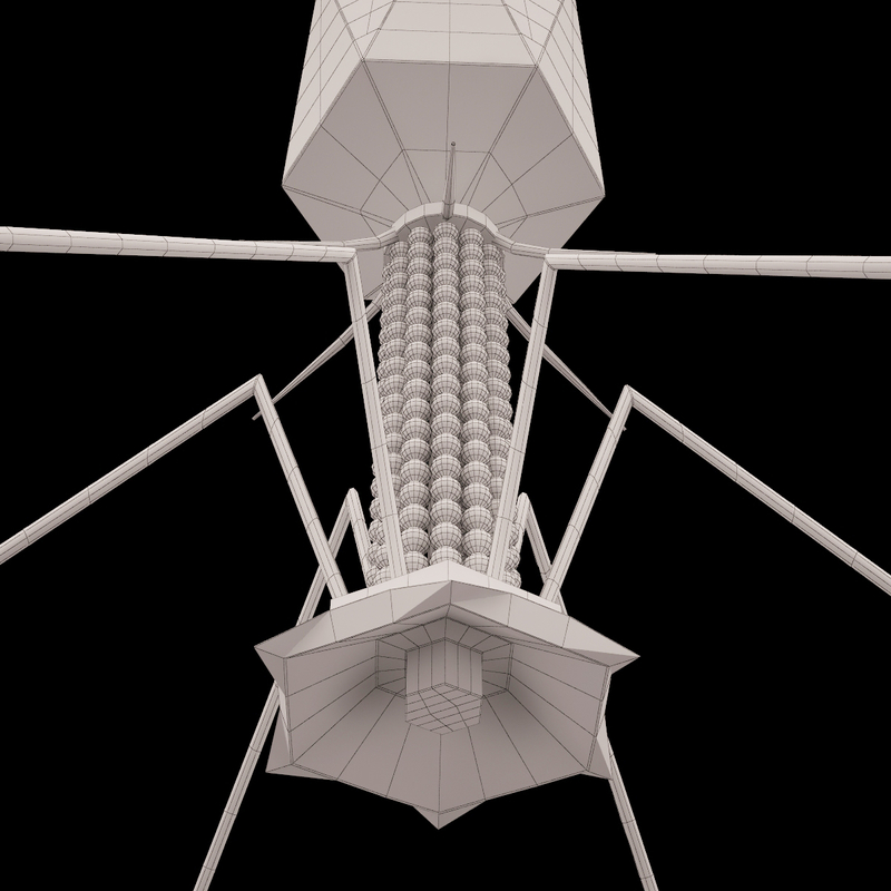 microscopic 3d model