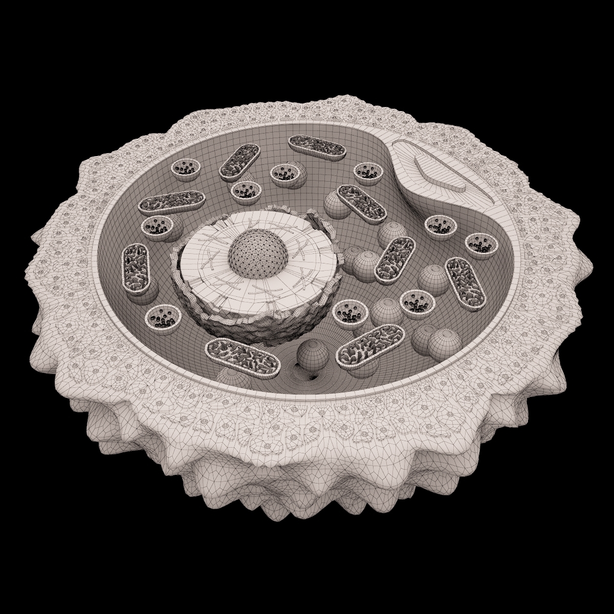 microscopic 3d model