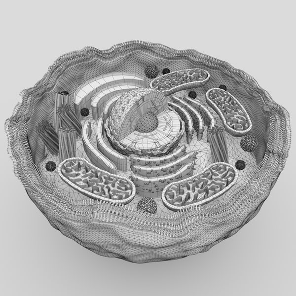 microscopic 3d model