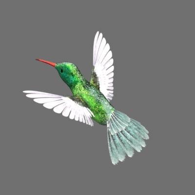 Hummingbird 3D Models for Download | TurboSquid