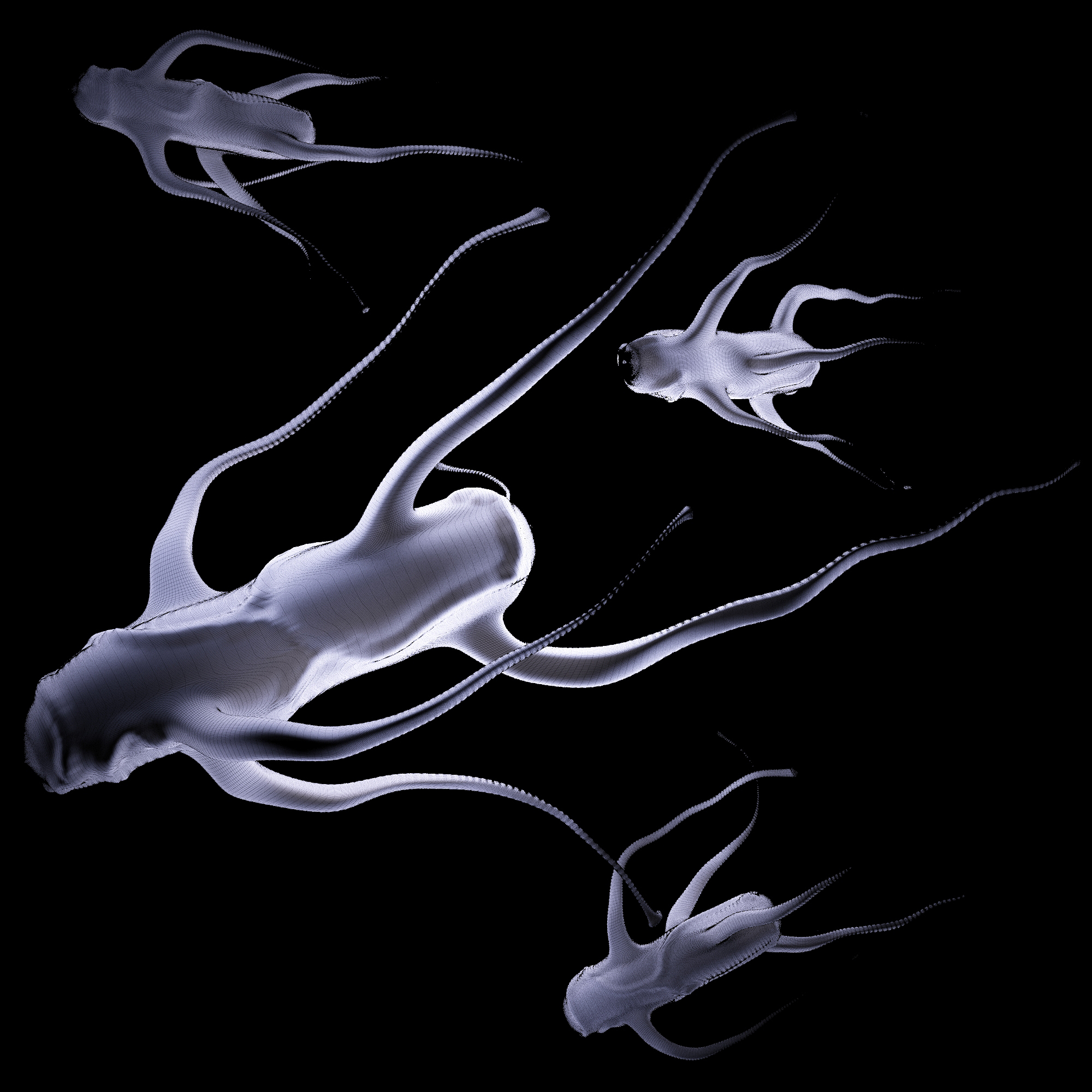 microscopic 3d model