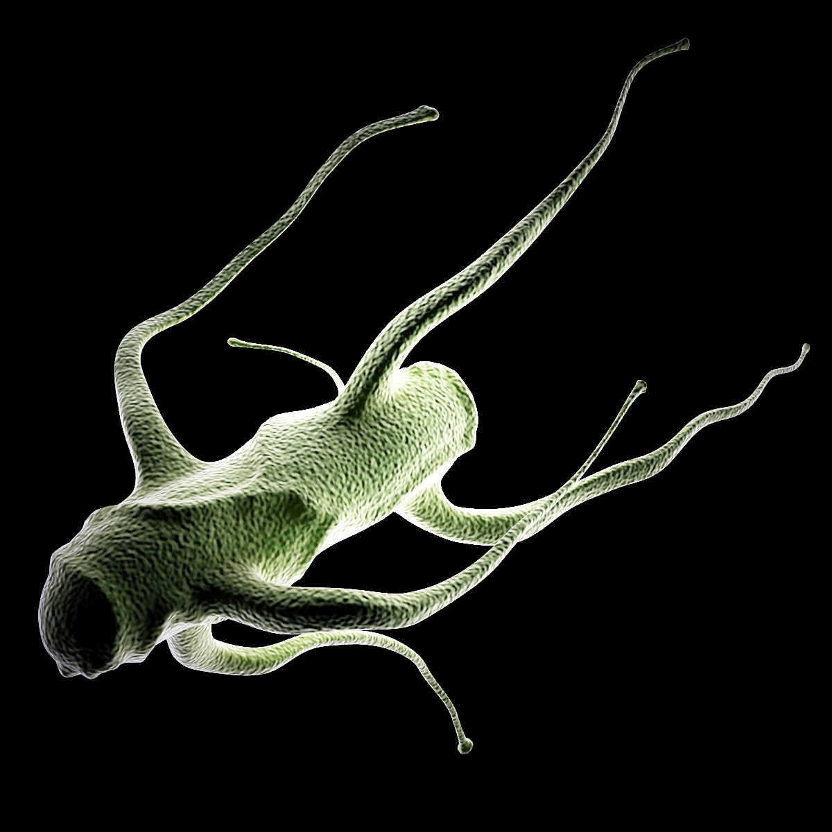 microscopic 3d model