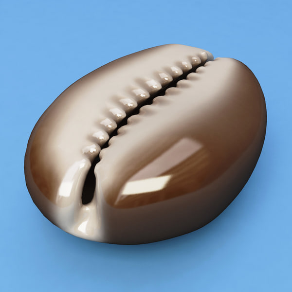 3d seashells sea shell model