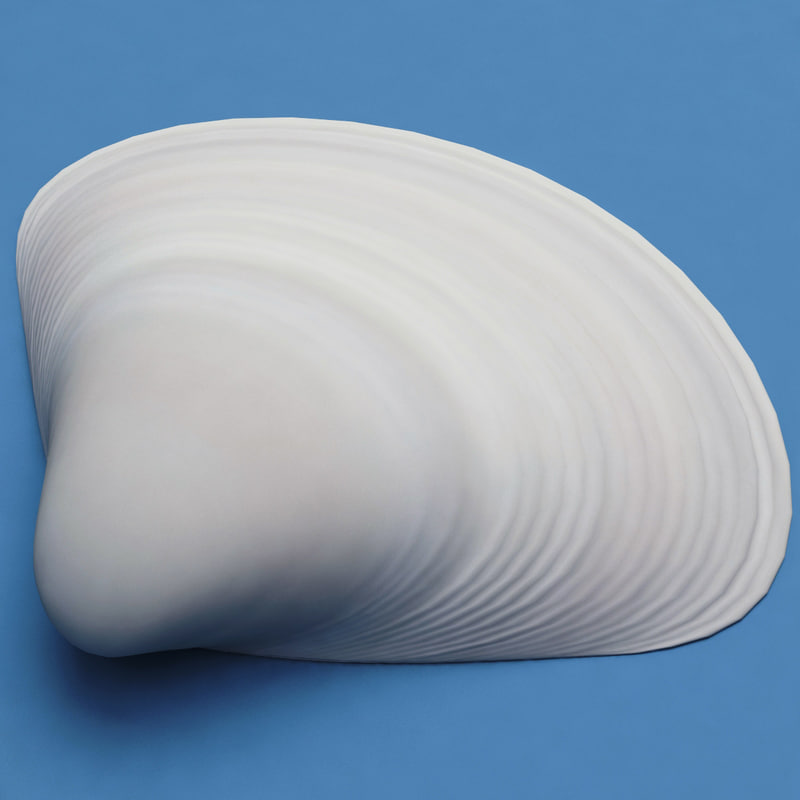 ark shell 3d model